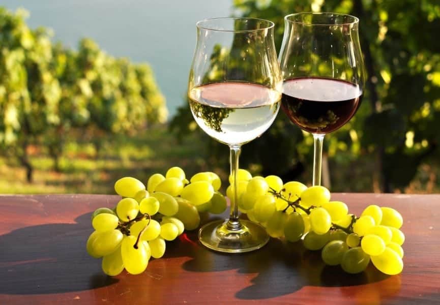 About Israeli Red Wine – Biz Israel